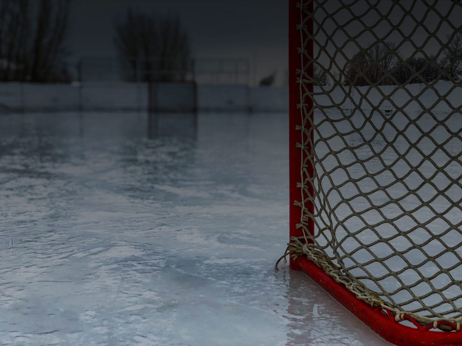 Jacob Friend verlässt Eislöwen | Dresdner Eislöwen